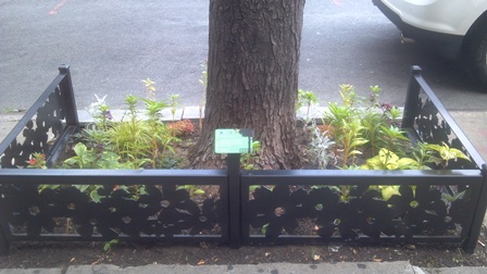 TreeBed - Myrtle Avenue Brooklyn Partnership